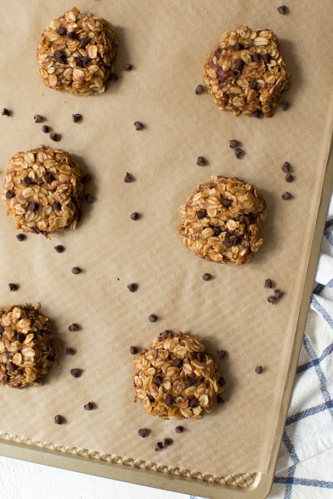 Healthy No Bake Chocolate Peanut Butter Oatmeal Cookies - Spoonful of ...