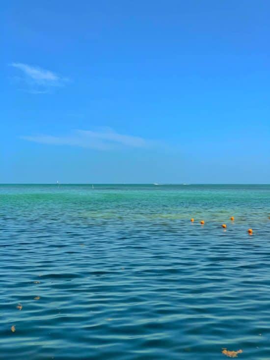 Islamorada Florida Travel Guide - Spoonful of Flavor