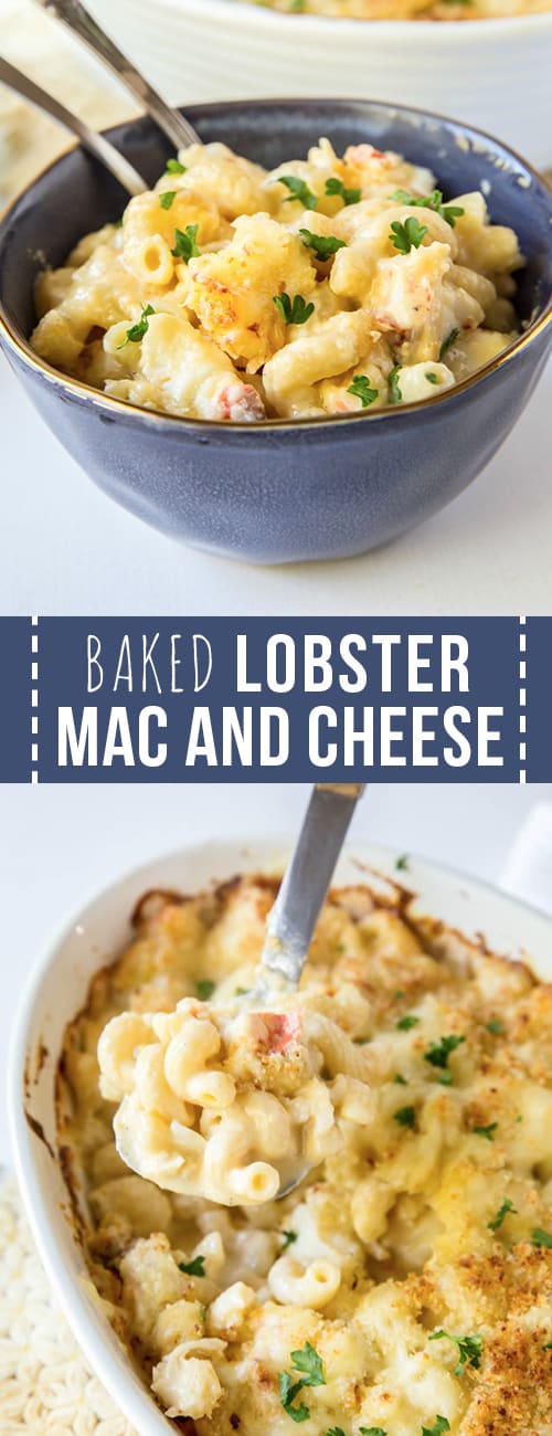 The Best Baked Lobster Mac and Cheese - Spoonful of Flavor