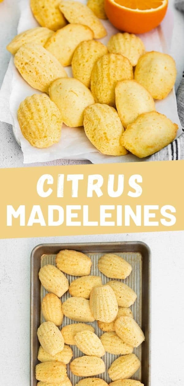 Citrus Madeleines - Spoonful of Flavor