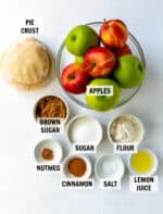 Easy Apple Pie (Vegan and Gluten Free Substitutions) - Spoonful of Flavor